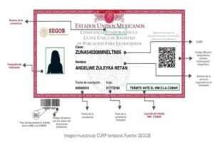 What is the CURP and how to obtain it 2025